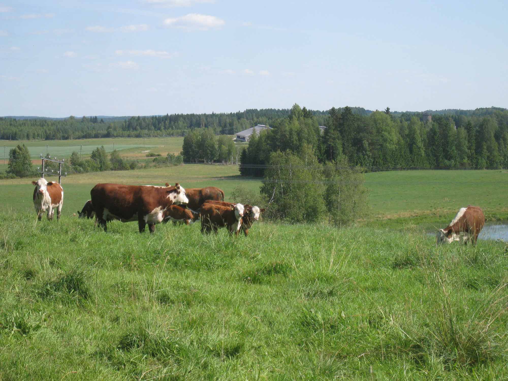 Työterveys ja turvallisuus teemasivusto - Työtehoseura